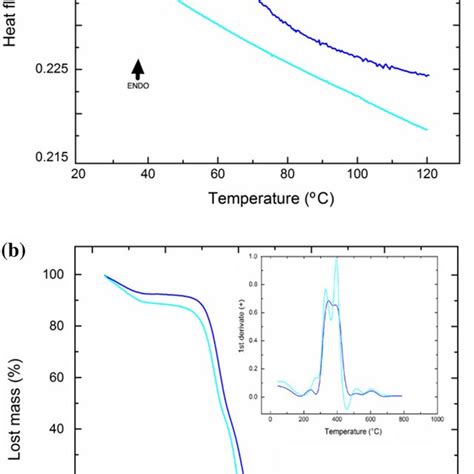 Thermic Behavior Of Polymeric Matrices A Dsc Analysis And B Tga And Download Scientific