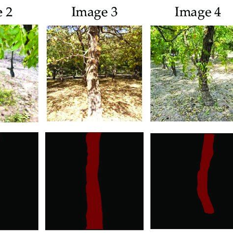 Tangent Line At The Center Line Where A Tangent Line At End Point Download Scientific