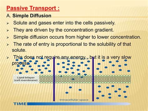 Cell Membrane Ppt Pptx