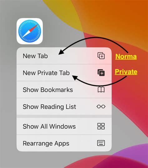 How To Enable And Turn Off Private Browsing In Safari On Iphone 15 14