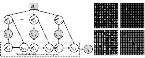 Multi Instance Causal Representation Learning For Instance Label