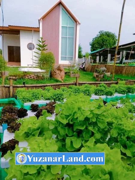 ခုကြည့်နေတဲ့သူသည် 2023 မှာ အမြန်ဆုံးအိမ်လေးတစ်လုံးပိုင်နိုင်ပါစေ