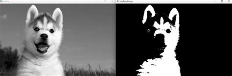 OpenCv c 大津法OTSU阈值处理 阿里云开发者社区