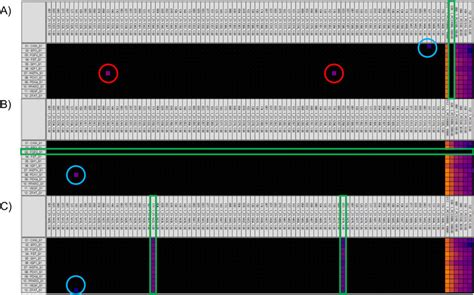 Mfqpcr Set1 Assay Using The Newly Designed Controlcset1 For