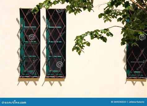 Window And Tree Branch Stock Image Image Of Close Plant 269236533