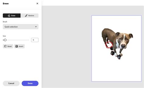 manipulating your photos in adobe express friesens