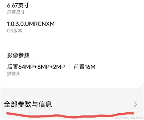 打开手机的开发者模式 ios18开发者模式 csdn博客