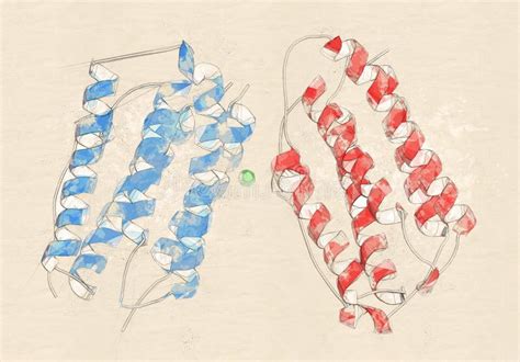 Interferon Beta Protein Cytokine Used To Treat Multiple Sclerosis Ms 3d Rendering Cartoon