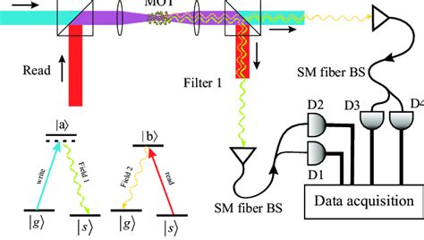 Experimental Setup Write And Read Pulses Propagate Sequentially Into A Download Scientific