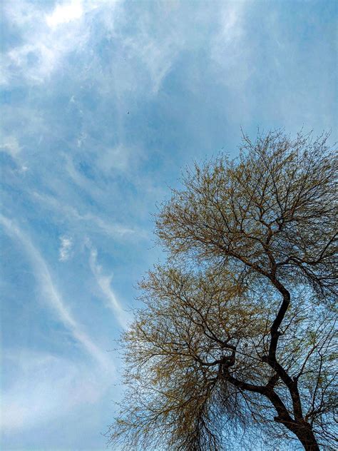 Ess Jay Posted On Linkedin