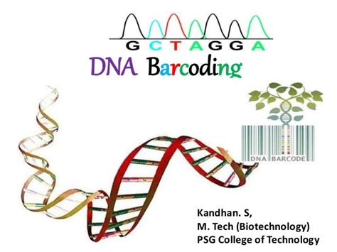 Dna Barcoding