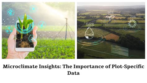 Microclimate Insights The Importance Of Plot Specific Data In Maximizing Agricultural Efficiency
