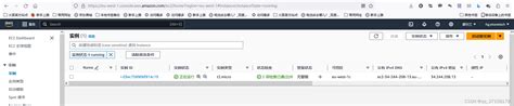 『亚马逊云科技产品测评』活动征文｜如何搭建低成本亚马逊aws云服务器亚马逊搭建服务器 Csdn博客