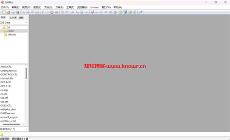 文件代码编辑器 Editplus V5704632 汉化破解版