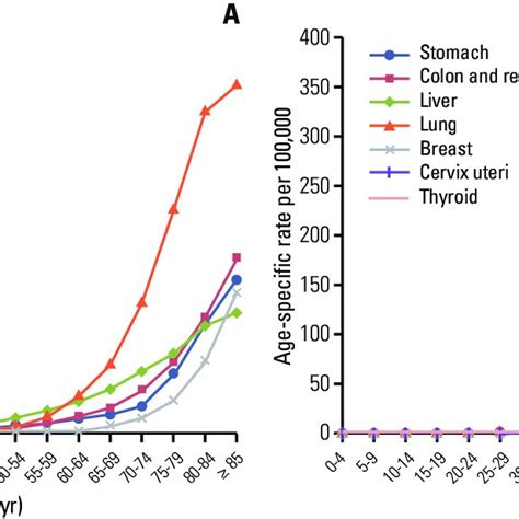 Projected Age Specific Mortality Rates Of Major Cancers During 2017 In