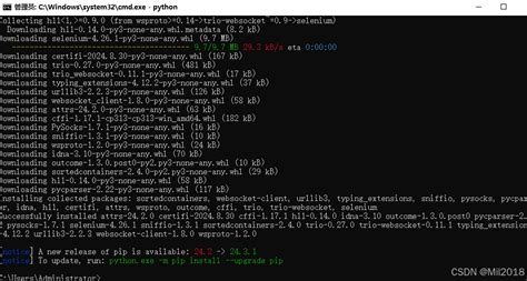 Seleniumpython Window10安装win10安装selenium Csdn博客
