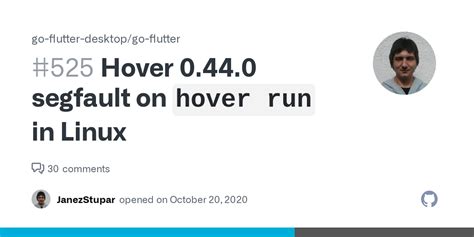 Hover Segfault On Hover Run In Linux Issue Go Flutter Desktop Go Flutter GitHub