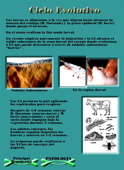 Documento Sin Título