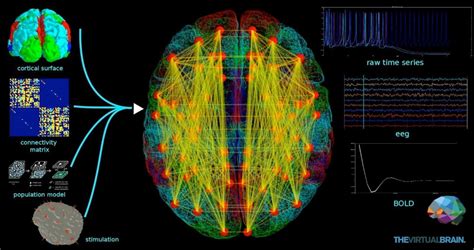 The Virtual Brain A Neuroinformatics Platform For Simulating Large Scale Brain Network Models
