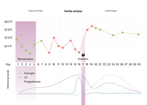 What Is The Menstrual Cycle Customer Support Contact Us Natural