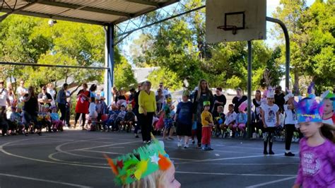 2017 Easter Hat Parades At Bathurst And Surrounding Schools Photos Western Advocate