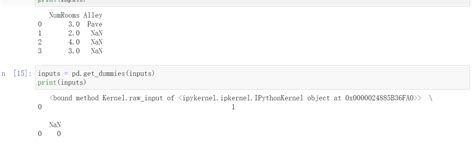 数据预处理 Pytorch D2l Discussion