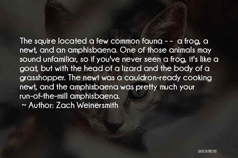 Top 34 No Grasshopper It Is Not Quotes And Sayings