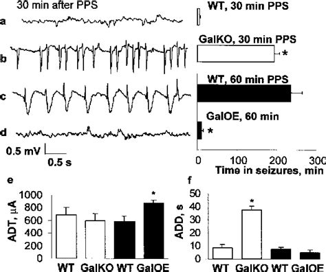 Figure 1 From Modulation Of Hippocampal Excitability And Seizures By Galanin Semantic Scholar