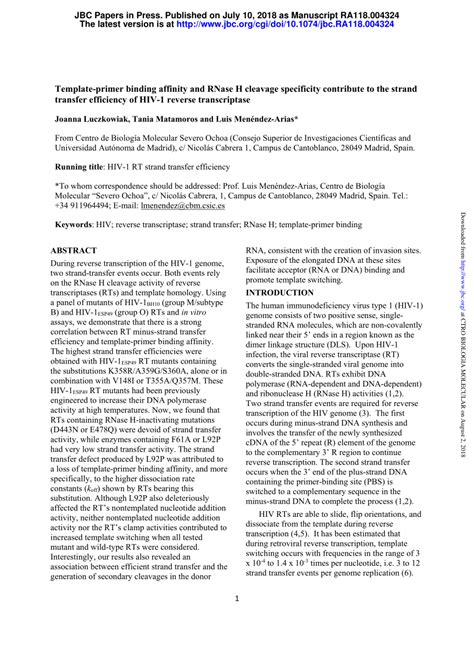 Pdf Template Primer Binding Affinity And Rnase H Cleavage Specificity Contribute To The Strand