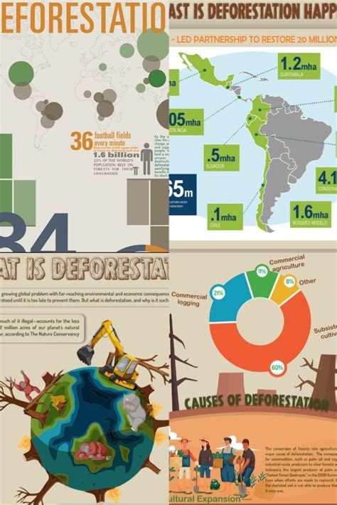 Deforestation Infographic Artofit