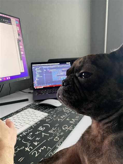 Serhii Chernikov On Linkedin What Do You Know About Pair Programming