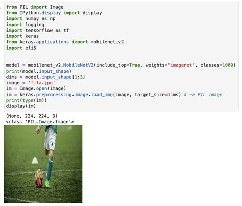 A Peek Into The Black Box Debugging Deep Neural Networks For Better