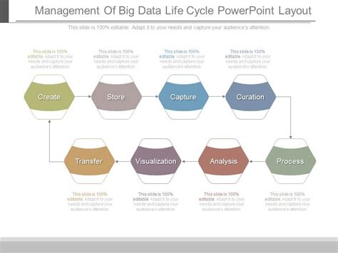 Management Of Big Data Life Cycle Powerpoint Layout PowerPoint Presentation Sample Example