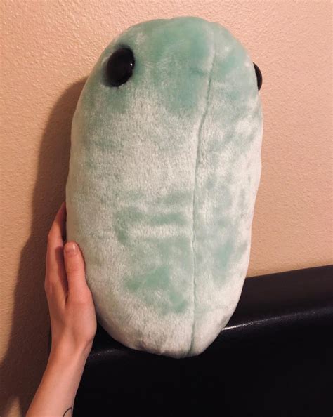 My Gigantic Giant Microbe Flu Virus R Plushies