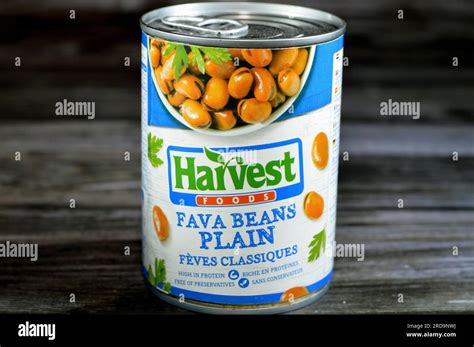 Cairo Egypt June 18 2023 Canned Harvest Foods Fava Beans Plain