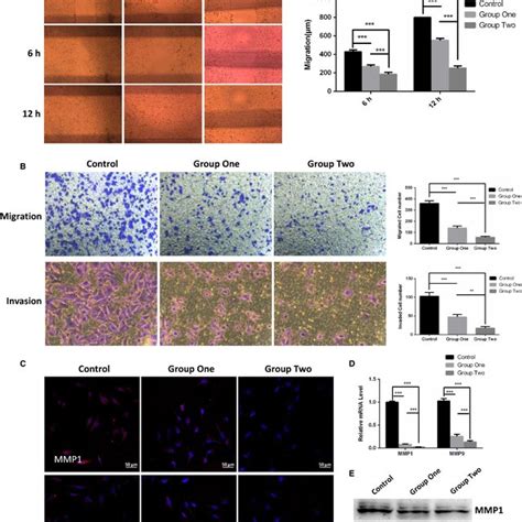Esc Microenvironment Impeded Invasive And Migratory Abilities Download Scientific Diagram