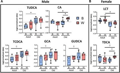 age sex and mitochondrial haplotype influence gut microbiome