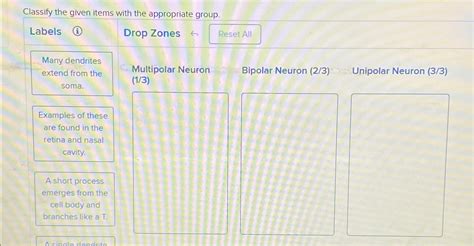 Solved Classify The Given Items With The Appropriate