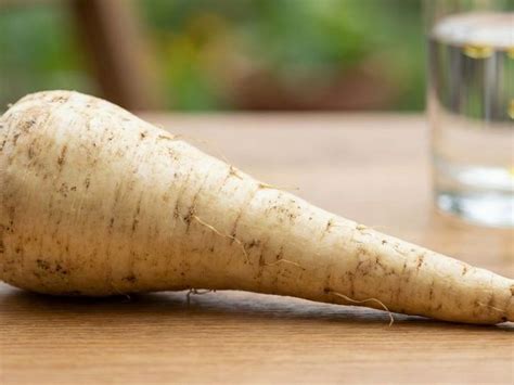 Parsnip The Forgotten Root To Regenerate The Liver And Fight