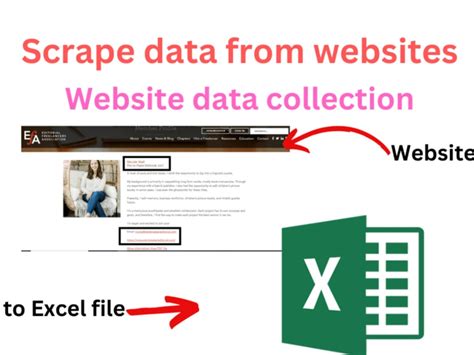 Data Web Scraping From Any Website Source Data Mining Upwork