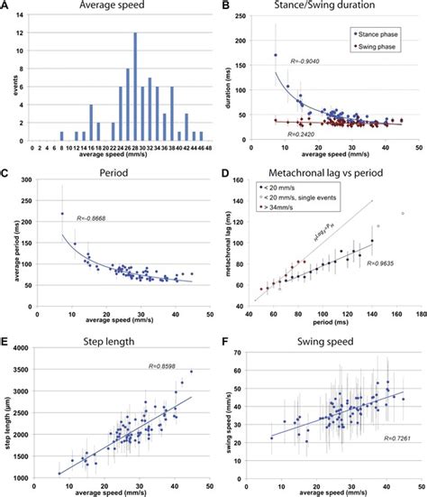 Quantification Of Gait Parameters In Freely Walking Wild Type And