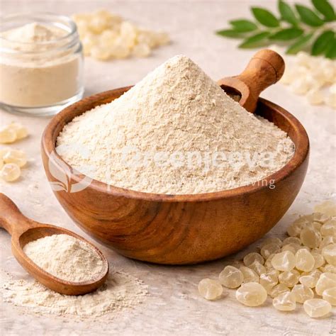 Bulk Mastic Gum Powder Supplier In Usa