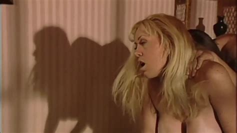 Bud Lee S Sex Fest Streaming Video On Demand Adult Empire