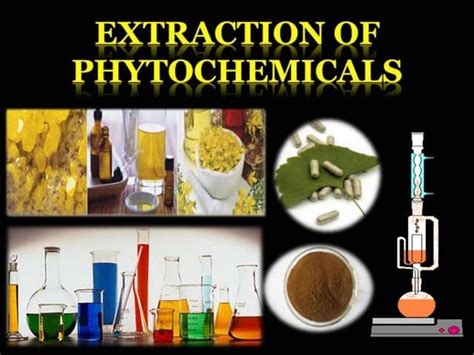 Plant Extraction And Fractionation Pptx