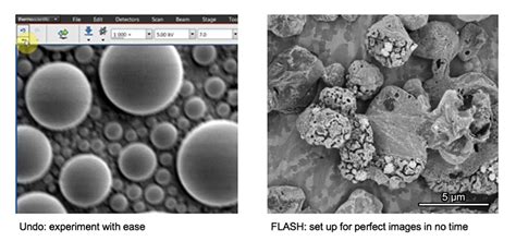 Scanning Electron Microscope Sem Failure Analysis Thermo Fisher