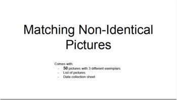 Matching Non Identical Pictures 50 Different Stimuli TPT