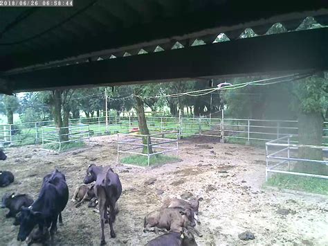 Dataset Format Conversion Object Detection Dataset By New Workspace P9nzn
