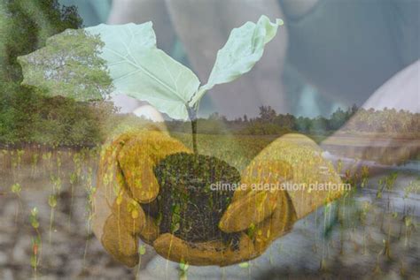 Exploring Nature Based Climate Adaptation Measures Climate Adaptation Platform