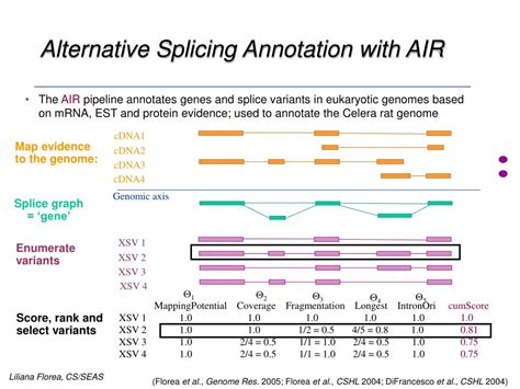 Ppt Comparative Genomics Methods For Alternative Splicing Of