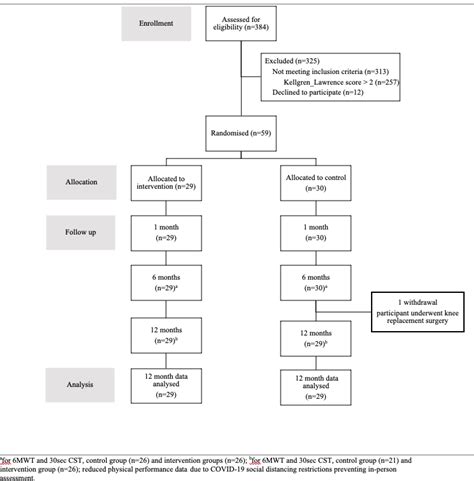 Participant Flow Diagram 6mwt Six Minute Walking Test Cst Chair Download Scientific Diagram